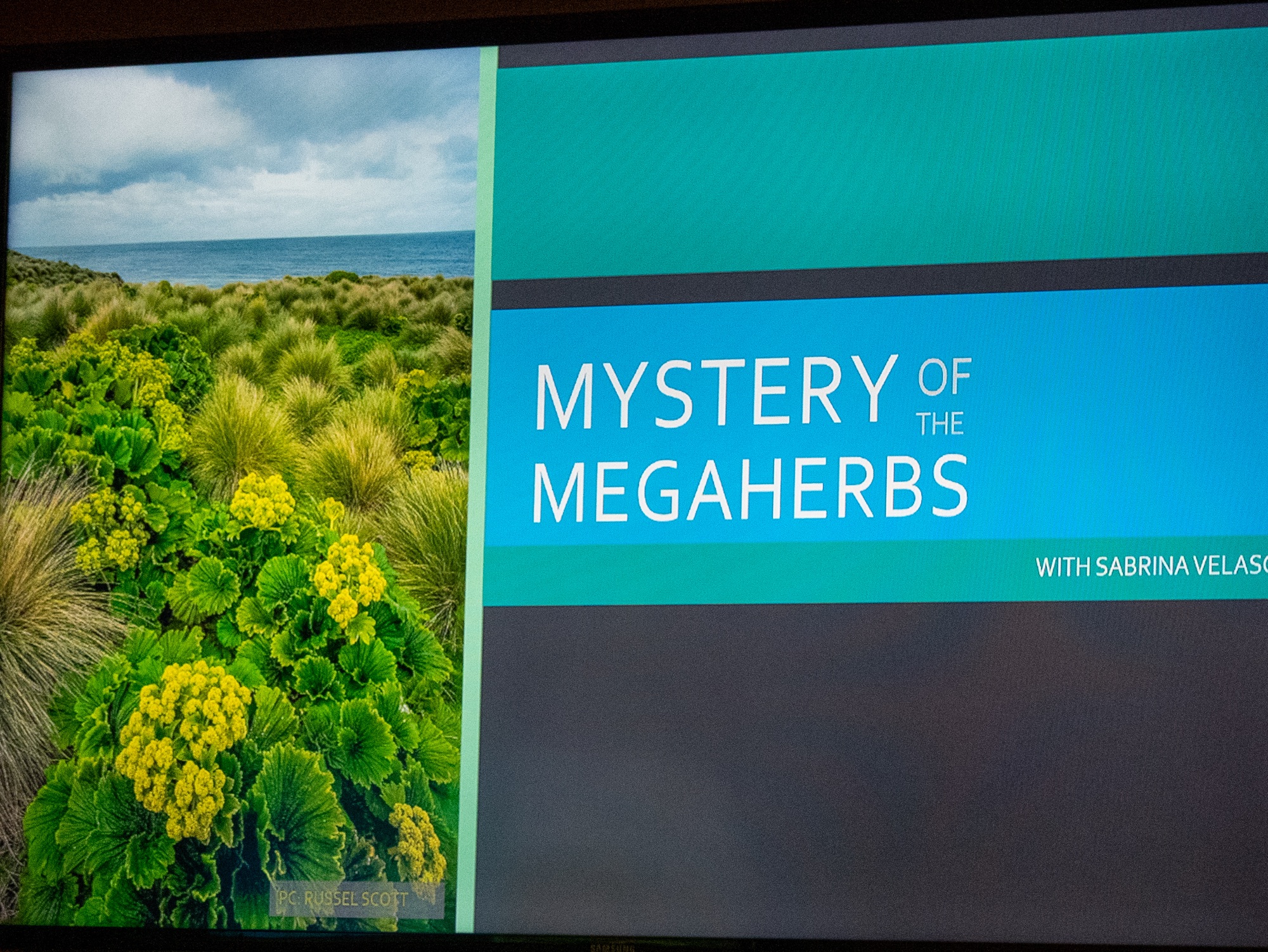 A day at Sea | Tasotter